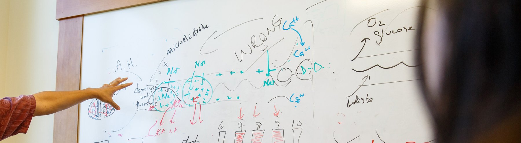 Biology Programs | Saint Mary's College