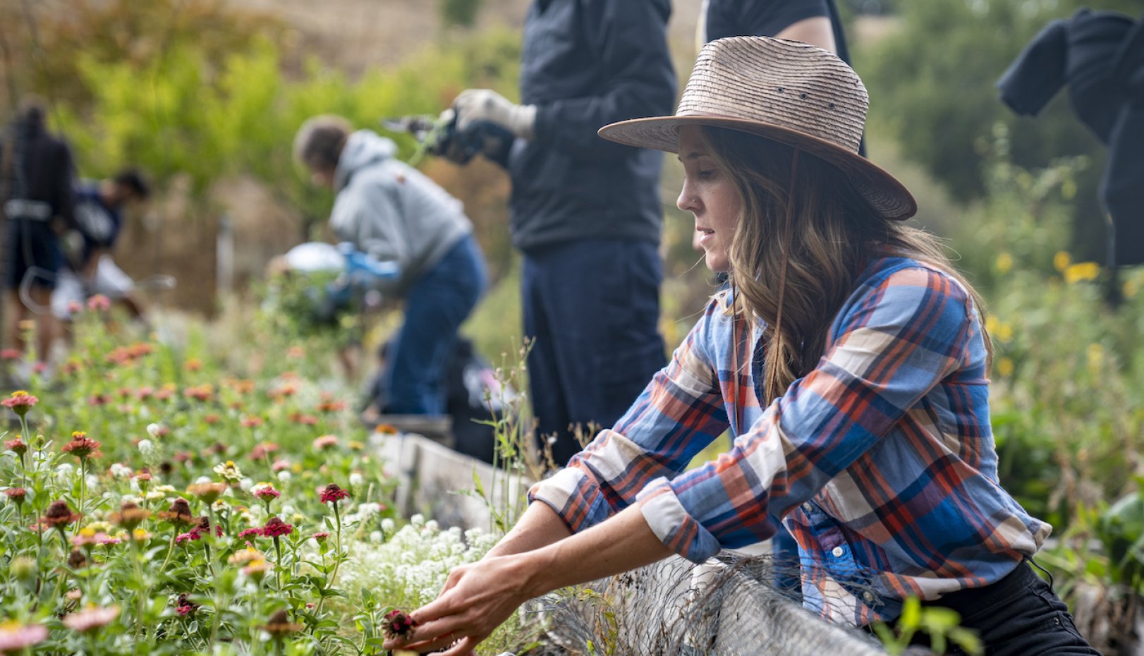 Saint Mary’s Commitment to Sustainability Earns a Nod in The Princeton ...